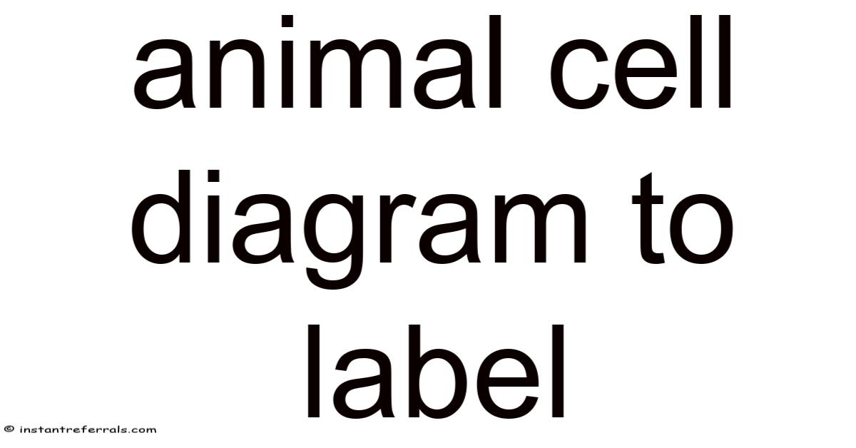 Animal Cell Diagram To Label