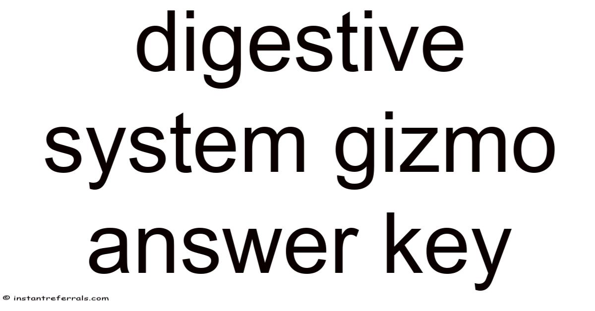 Digestive System Gizmo Answer Key