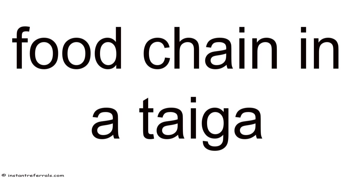 Food Chain In A Taiga