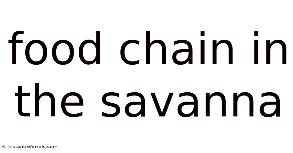Food Chain In The Savanna