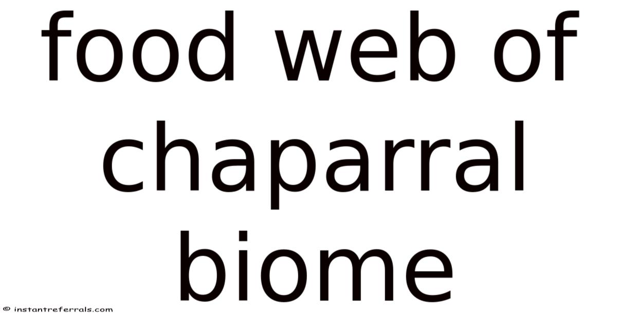 Food Web Of Chaparral Biome