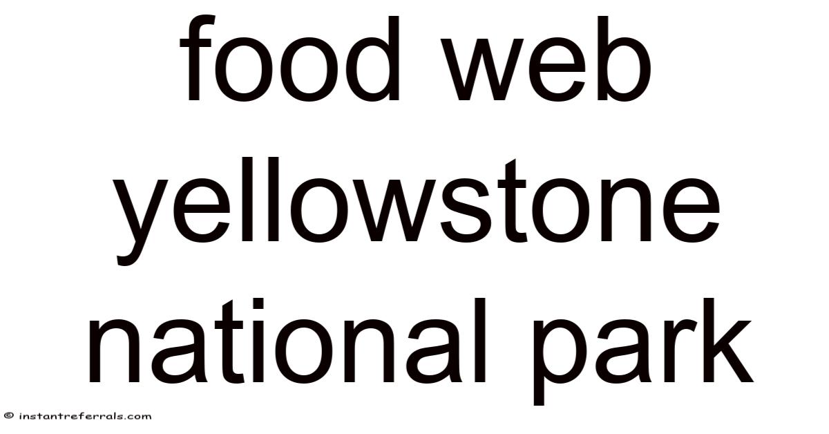 Food Web Yellowstone National Park