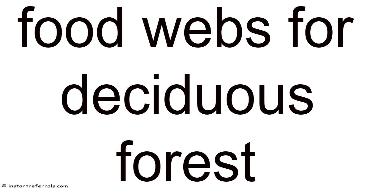 Food Webs For Deciduous Forest