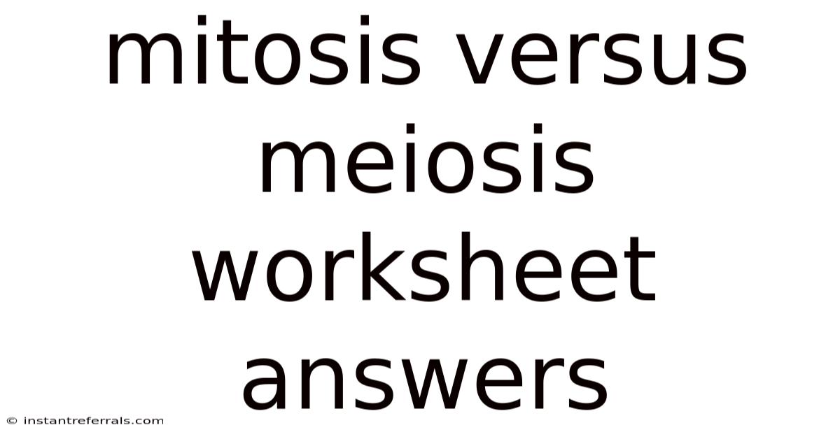 Mitosis Versus Meiosis Worksheet Answers
