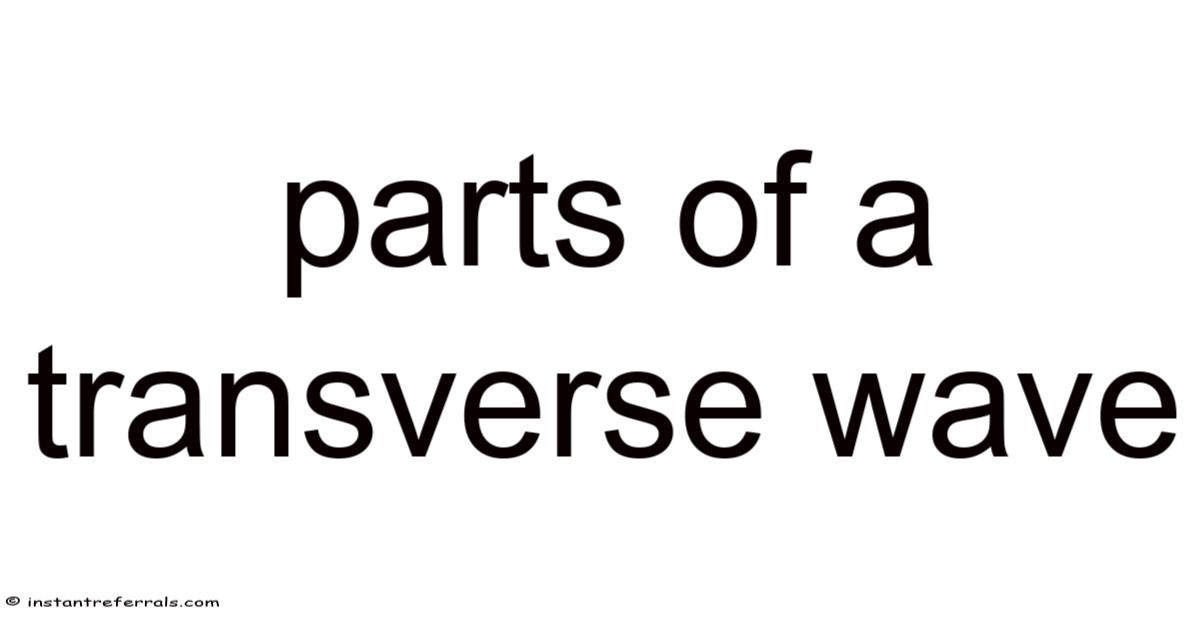 Parts Of A Transverse Wave