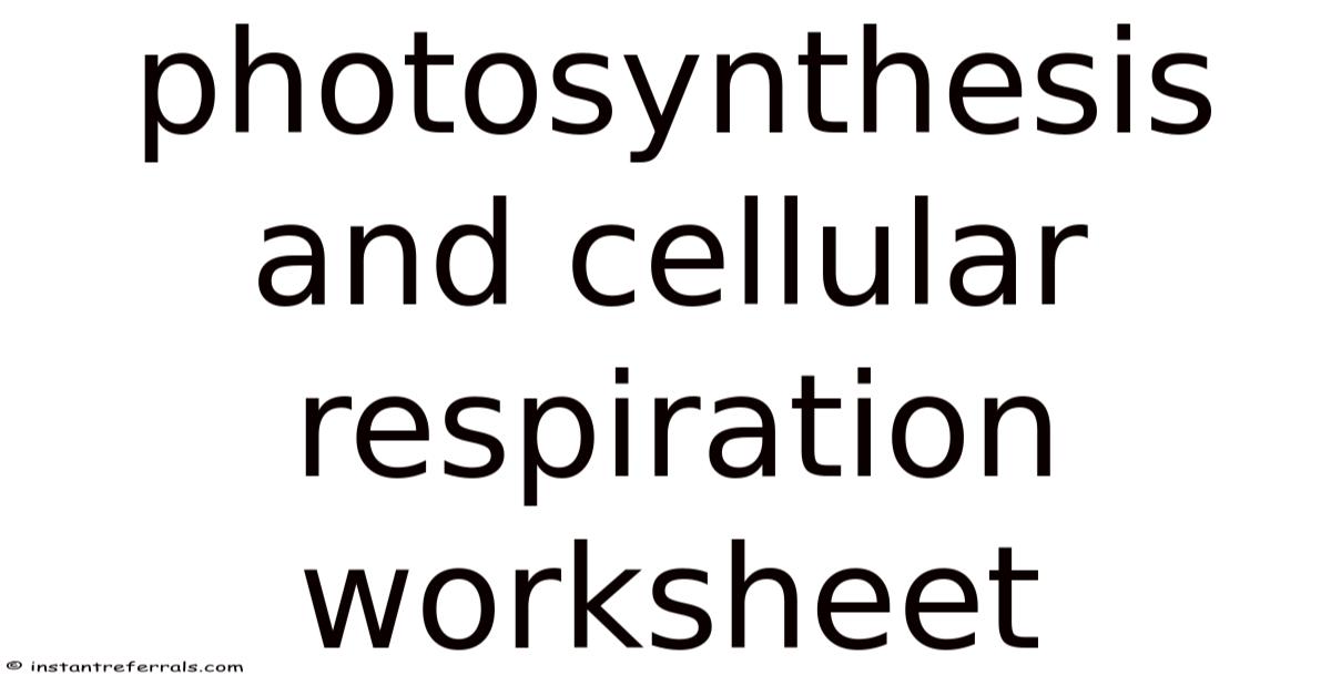 Photosynthesis And Cellular Respiration Worksheet