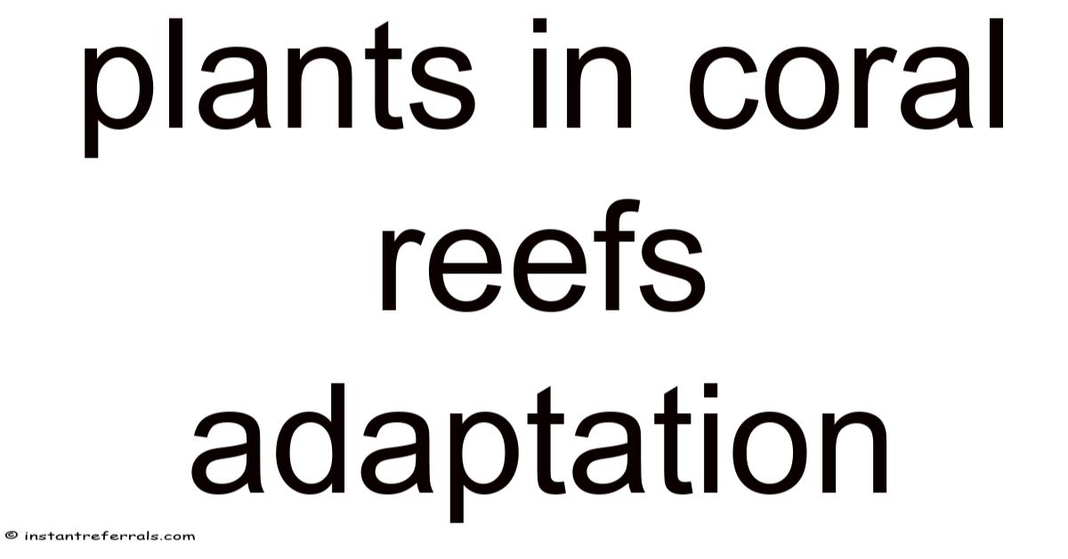 Plants In Coral Reefs Adaptation