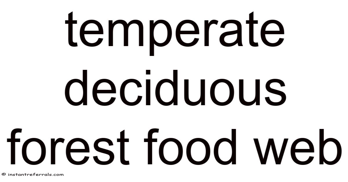 Temperate Deciduous Forest Food Web