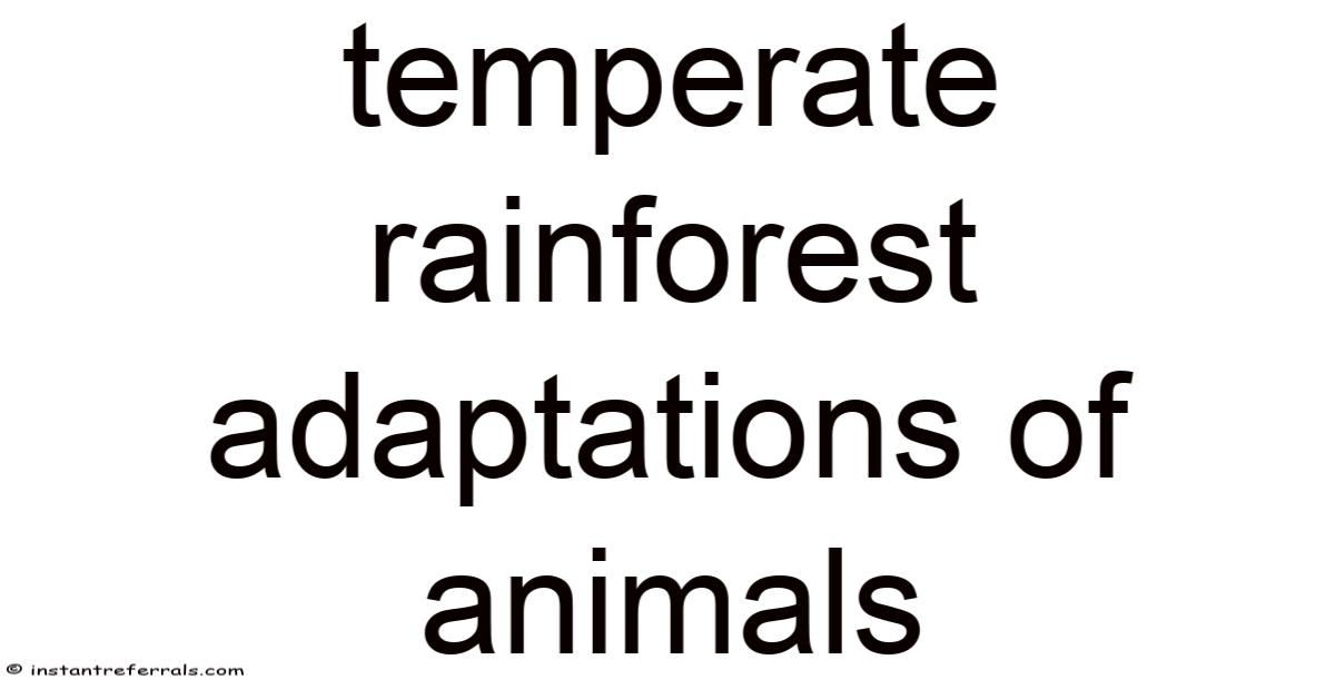 Temperate Rainforest Adaptations Of Animals