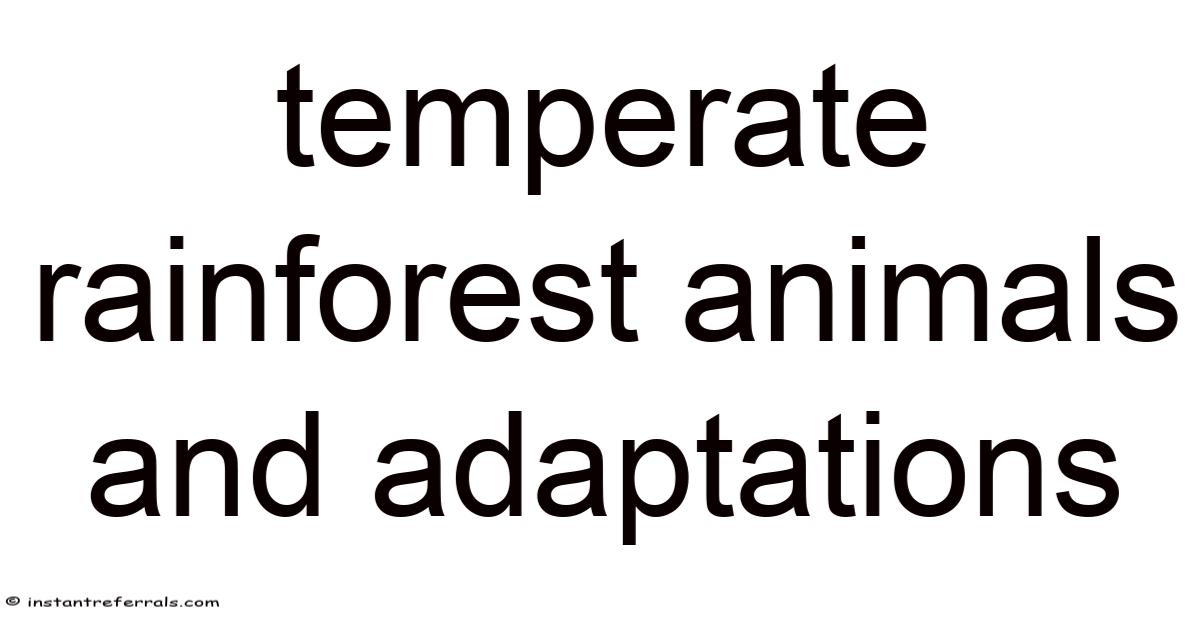 Temperate Rainforest Animals And Adaptations