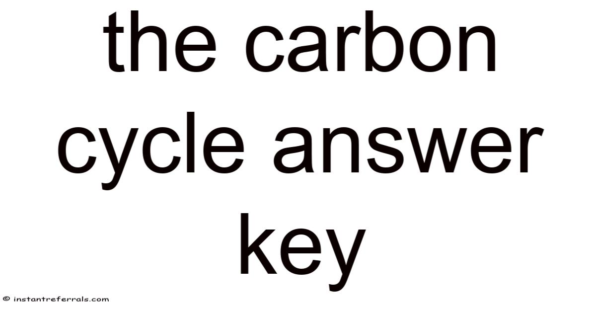 The Carbon Cycle Answer Key