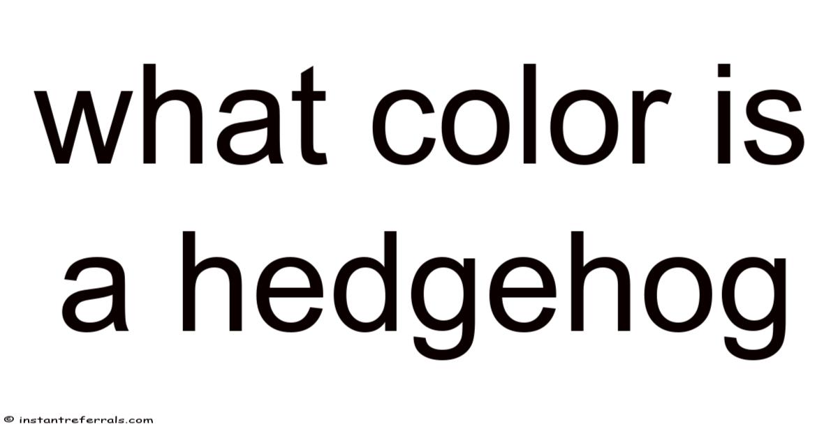 What Color Is A Hedgehog